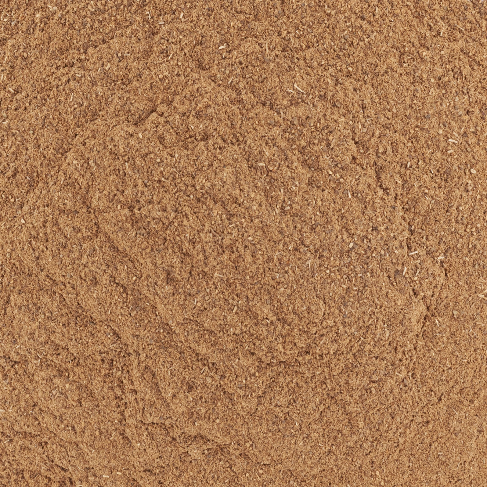 CANNELLE MOULUE - day by day