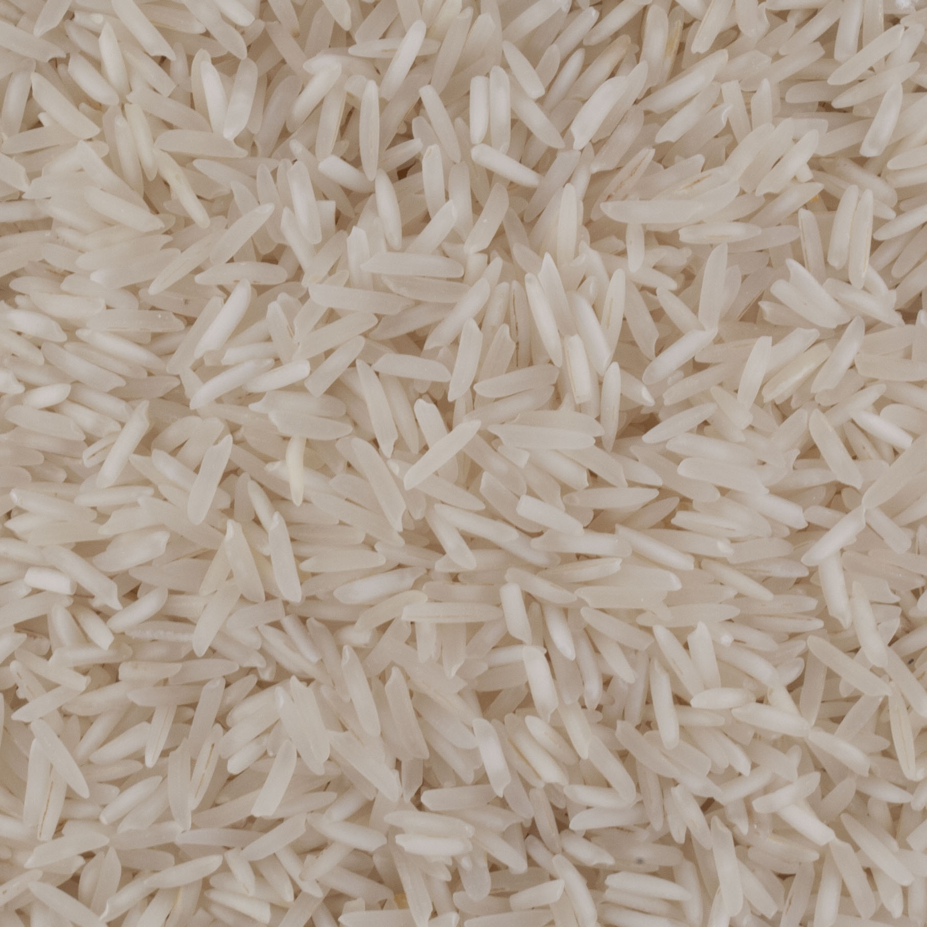 RIZ BASMATI TILDA - day by day