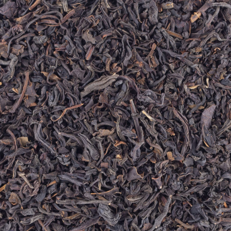 THE NOIR PLAISIR - day by day