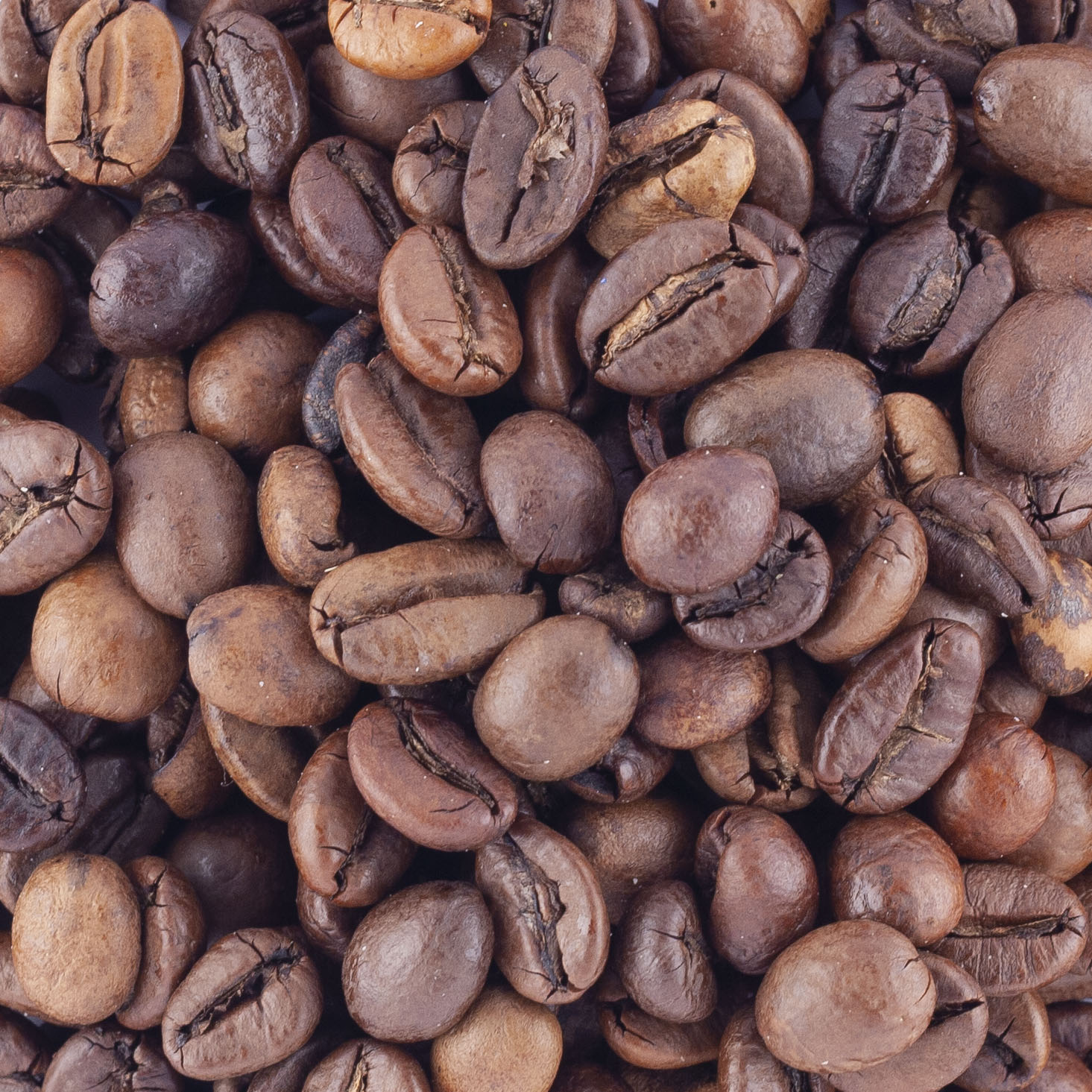 CAFE MOKA SIDAMO - day by day