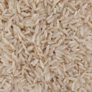 RIZ ROND BLANC BIO - day by day