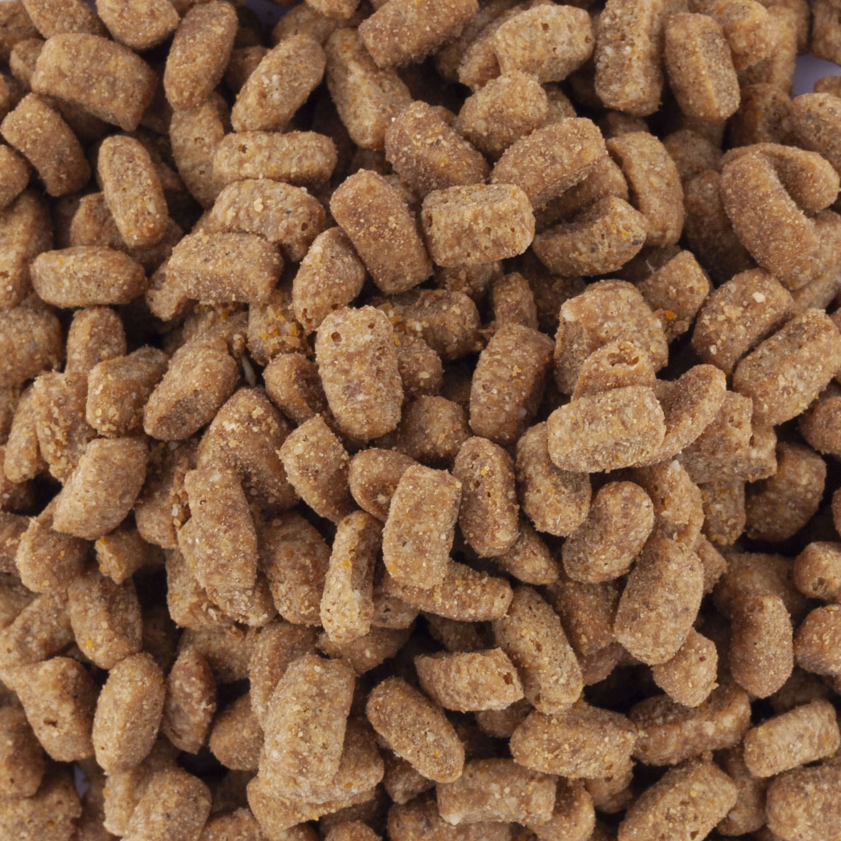CROQUETTES DINDE CHAT STERILISE PRO PLAN - day by day