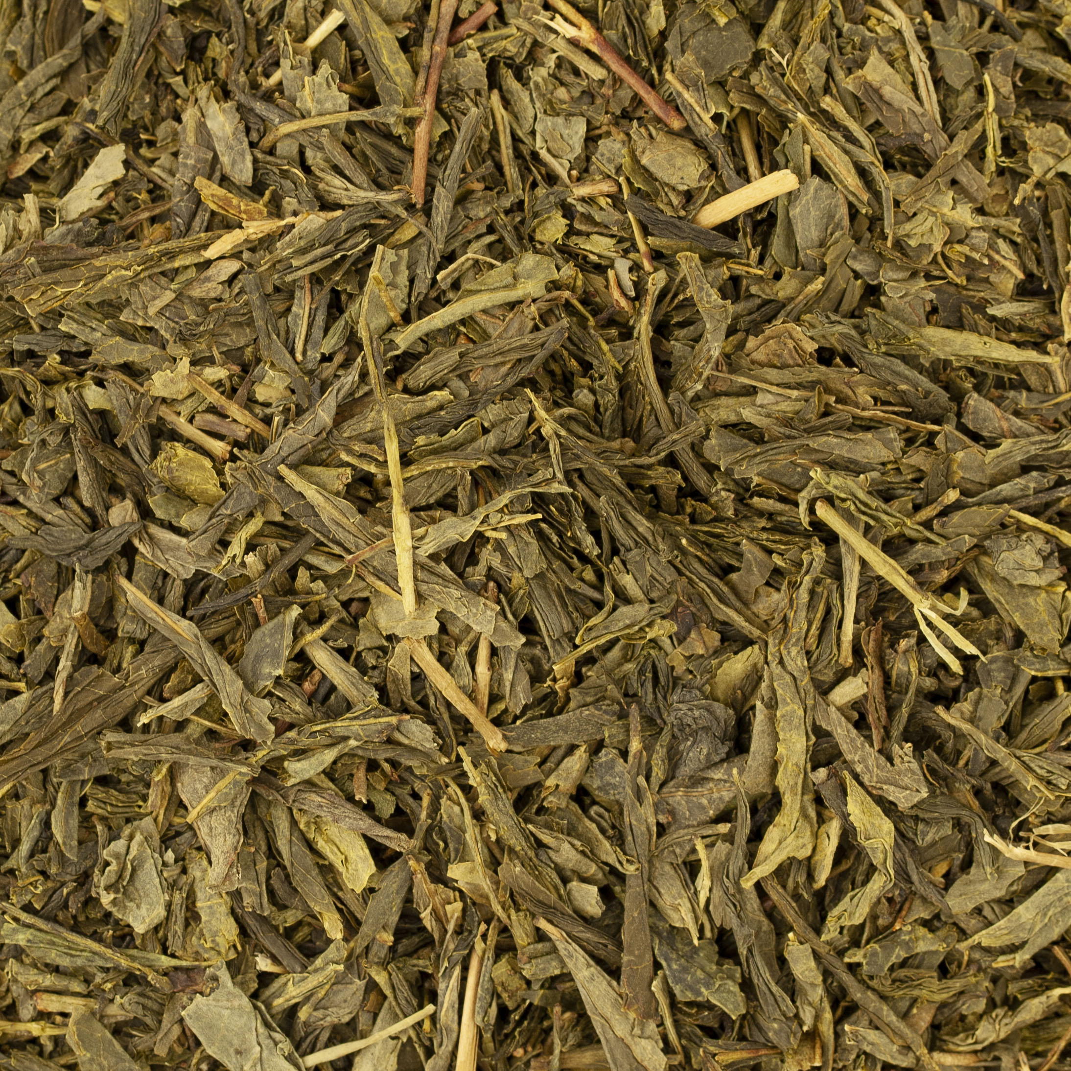 THE SENCHA BIO - day by day