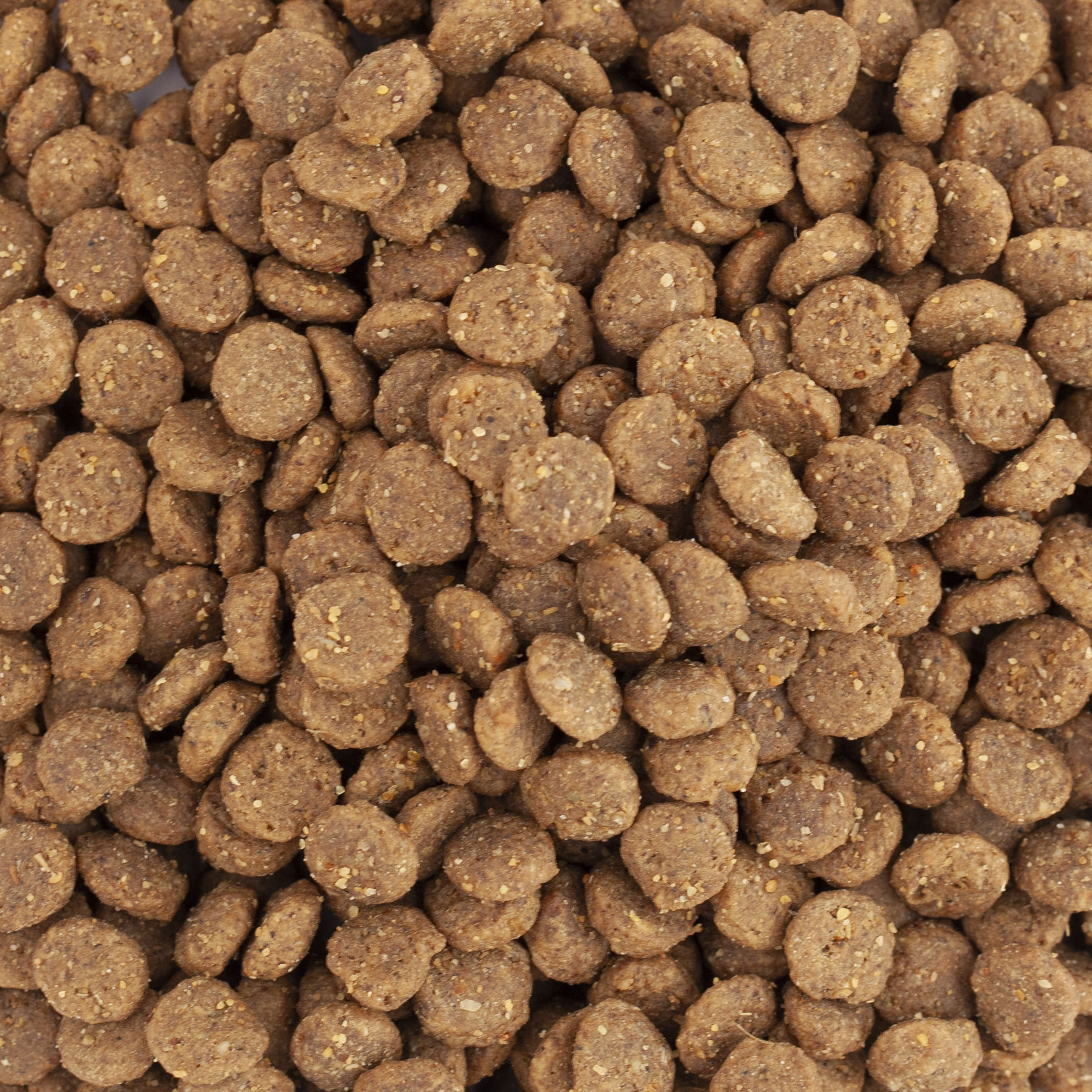 CROQUETTES CHAT STERILISE GRAIN FREE VOLAILLE BIO - day by day